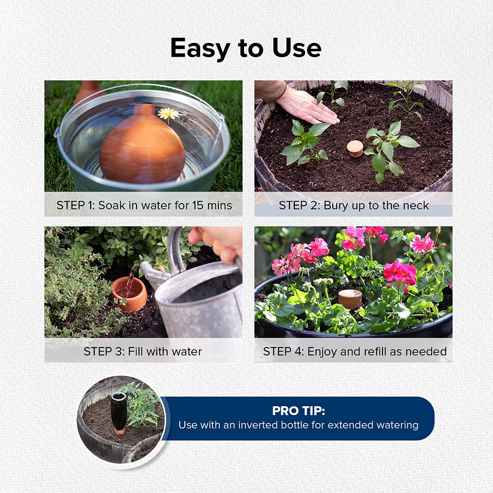 Olla Watering Pot – The Olla Company